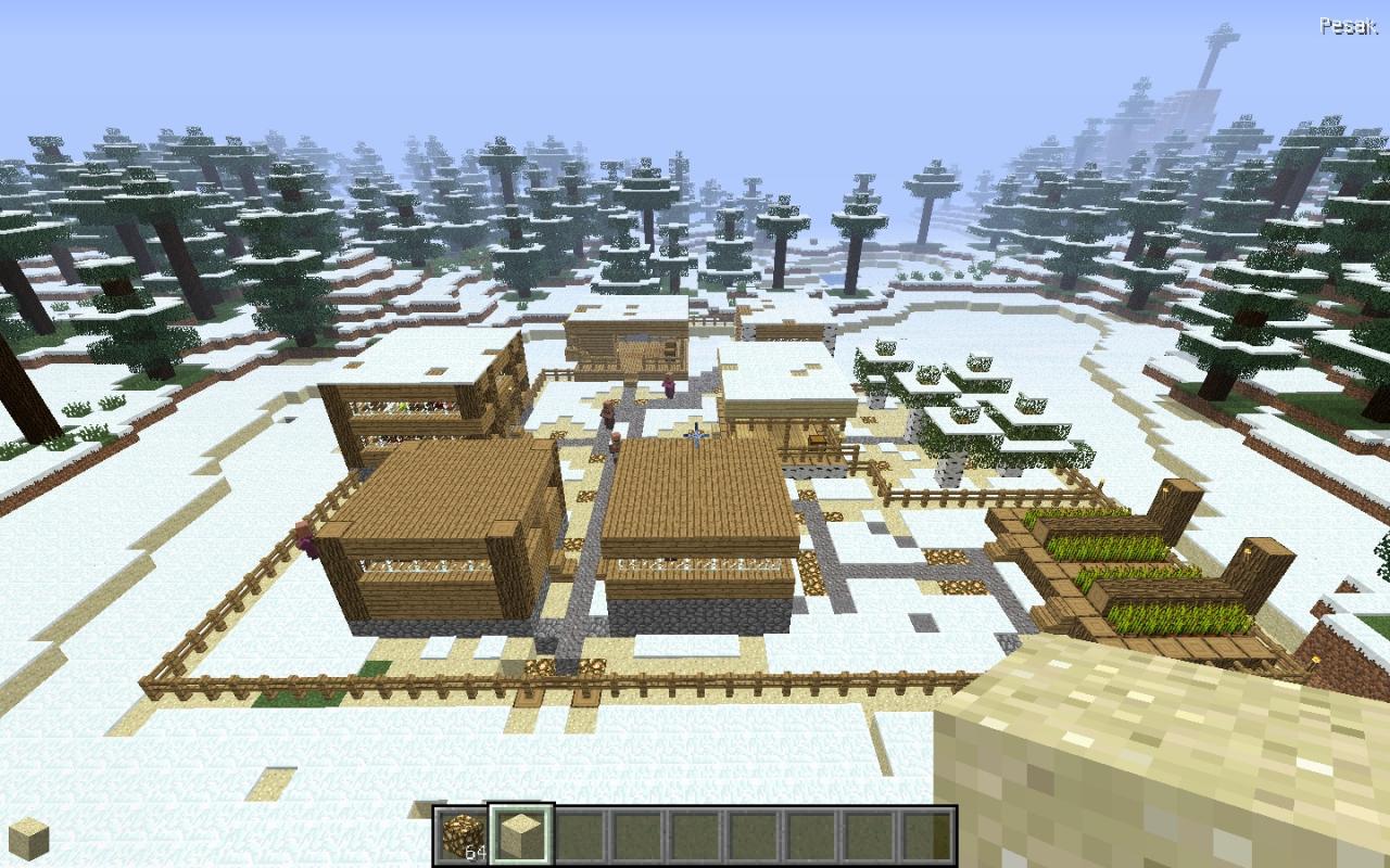 Small Village Minecraft Map