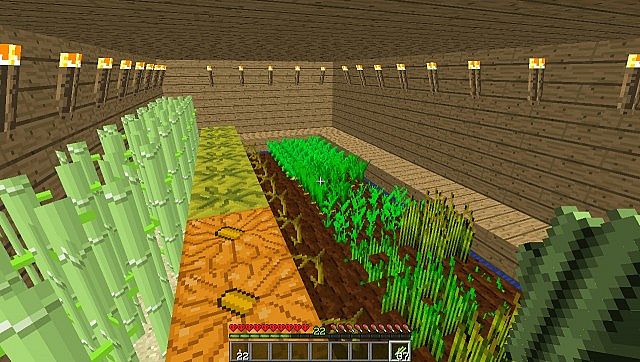 DapperTurtle's HardCore World Minecraft Map