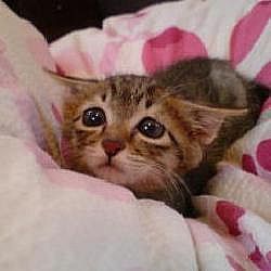 Where did kindness go? (Somewhat of a rant)