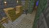 Hide-And-Seek Minecraft Style Minecraft Map