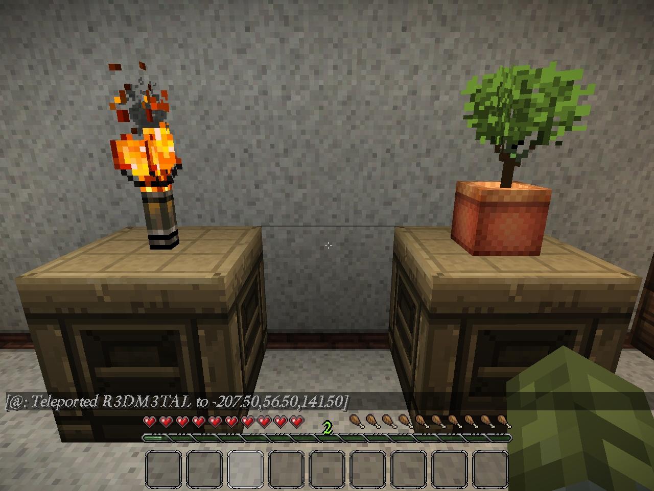 Decorations Guide Minecraft Map