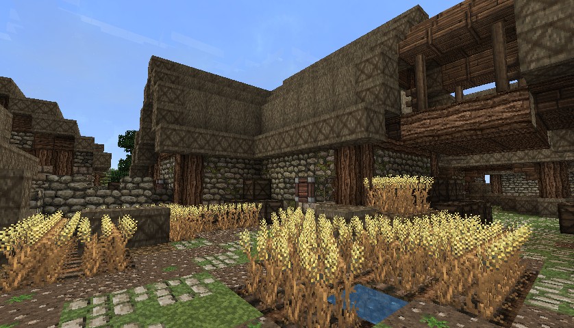 My Complete Forrest Village Minecraft Map