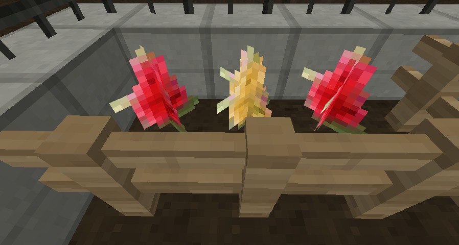 Modern Villa from the Swamp (~Update~) Minecraft Map