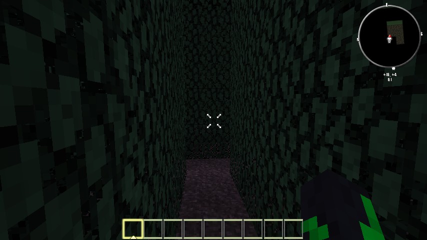 The Maze Minecraft Map