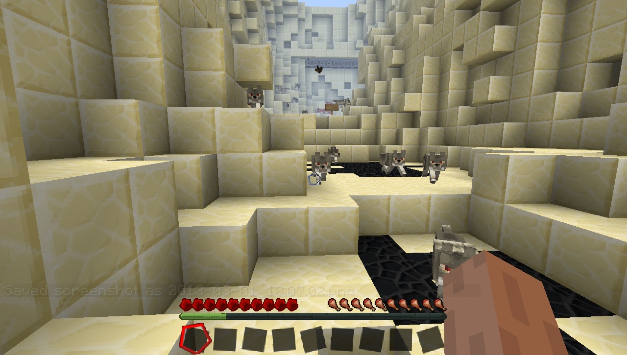 Wolf Run Minecraft Project