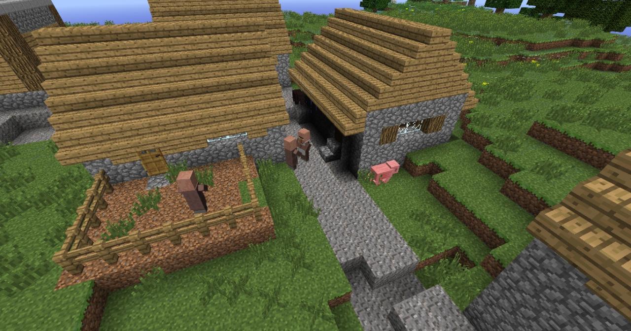 village Minecraft Map