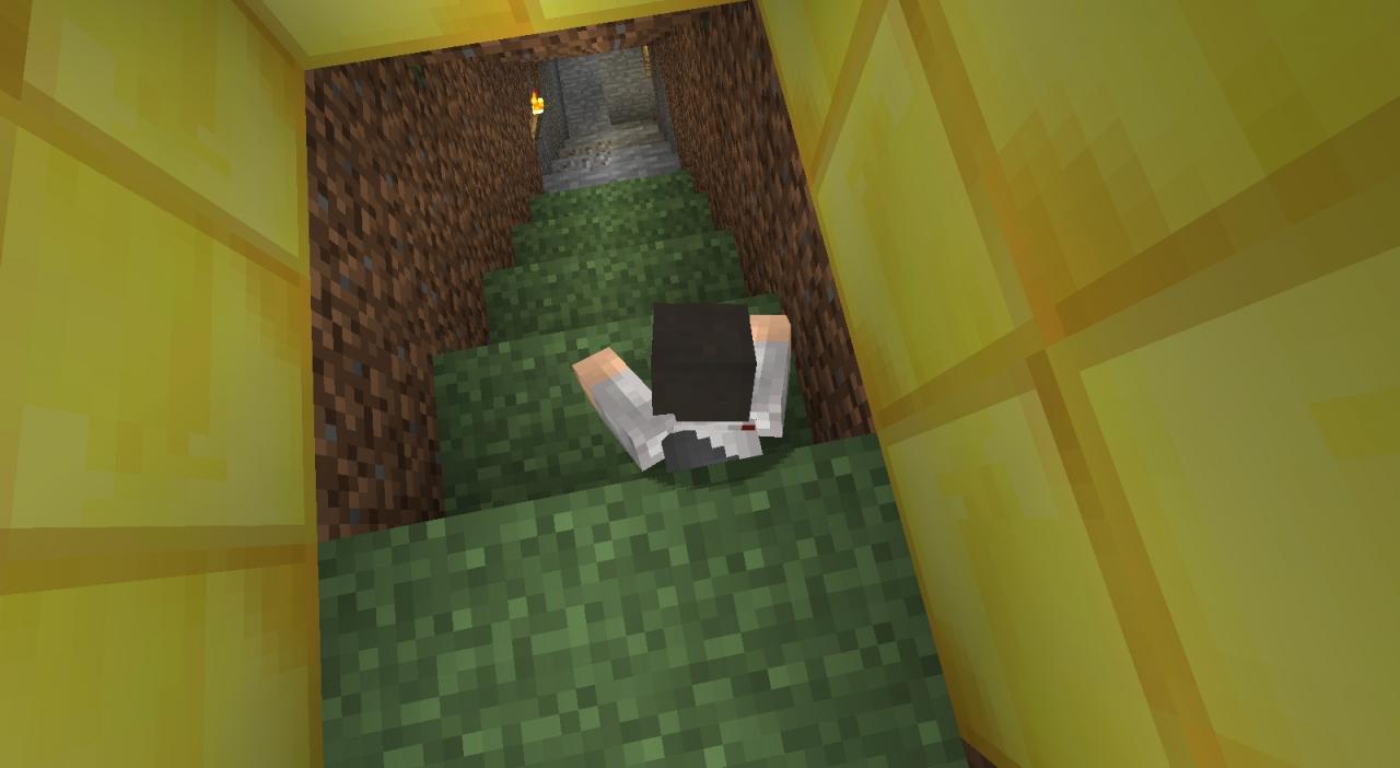 The ninja temple... Minecraft Map