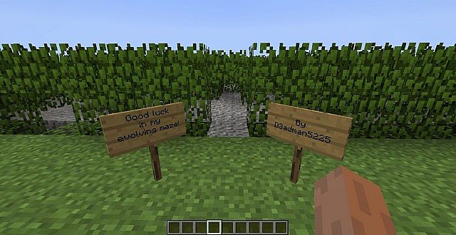 Hedge Maze Minecraft Map