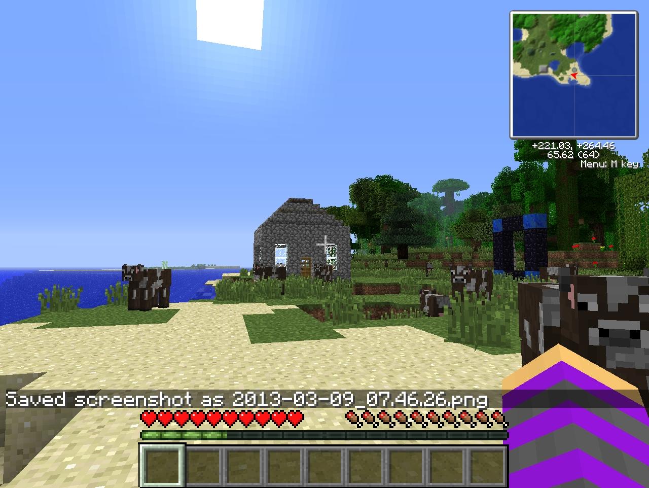 Epic Survival Minecraft Map