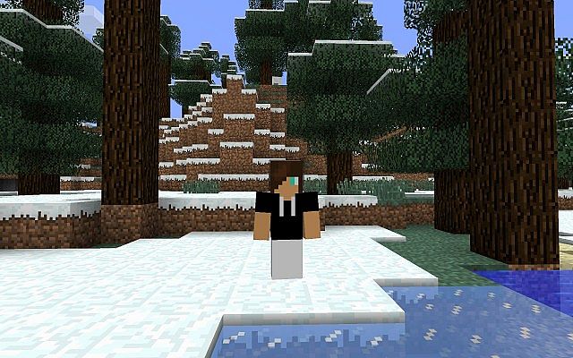 Awesome whitelist server Minecraft Server