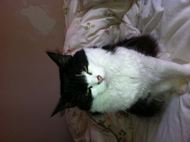 Chrome Nation Minecraft Server