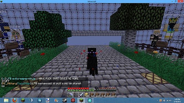 Player Model Mod Test Minecraft Map