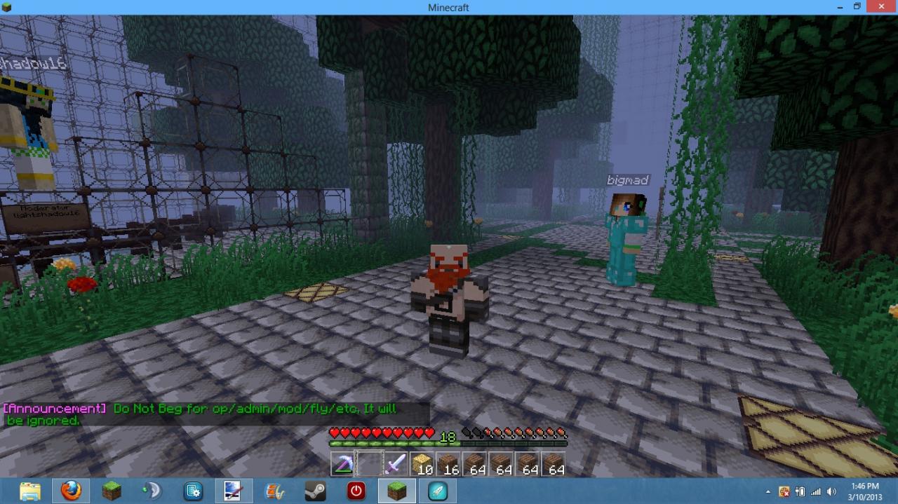 Player Model Mod Test Minecraft Map