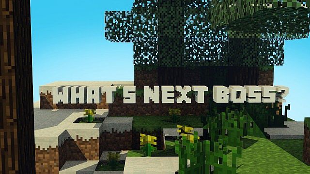 Minecraft Graphic Design! Look Inside to See My Work ;)