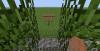 Hedge Maze Minecraft Map