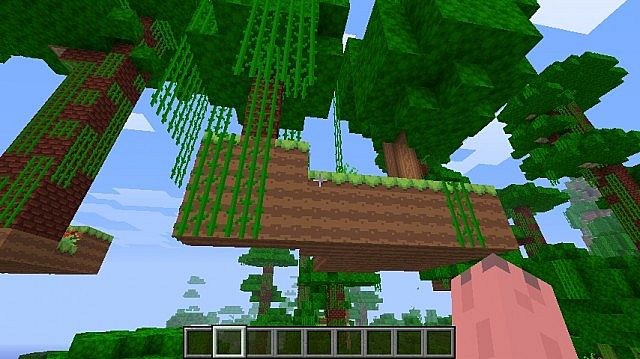 Epic Jungle Biome!