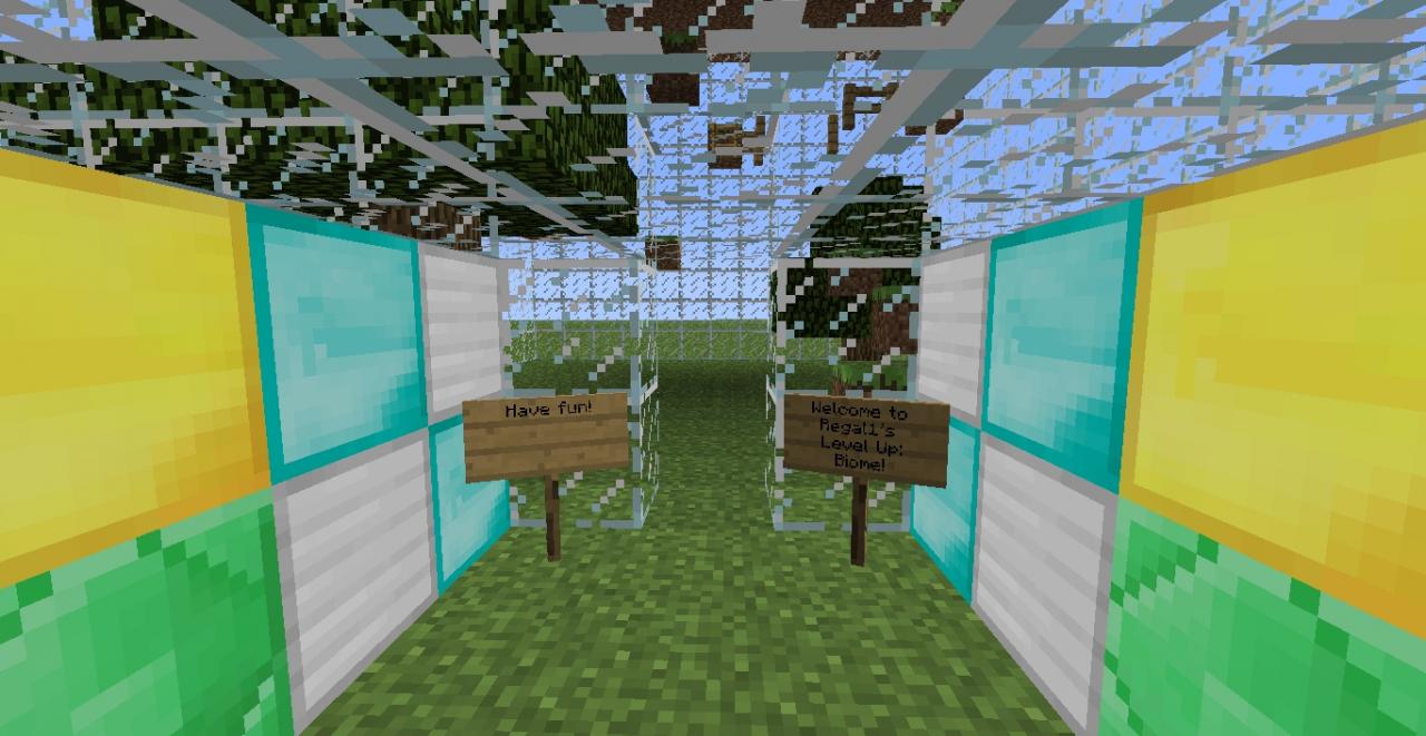 Level Up: Biome Edition Minecraft Map