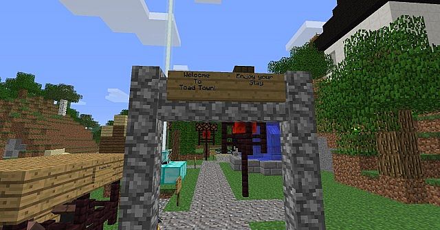 Toad Town area Minecraft Map