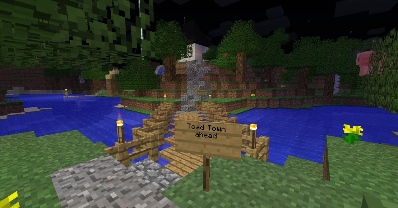 Toad Town area Minecraft Map