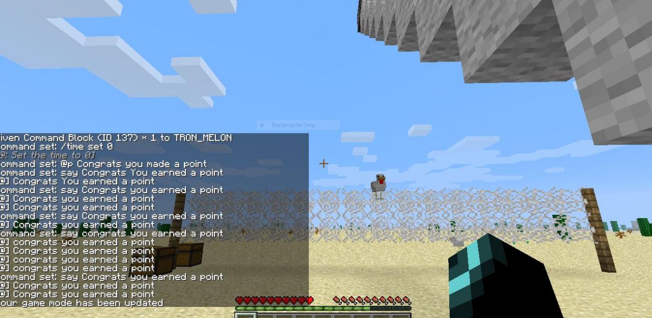 Beach Volley Ball Minecraft Project