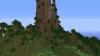 Survival Terraformed World Minecraft Project