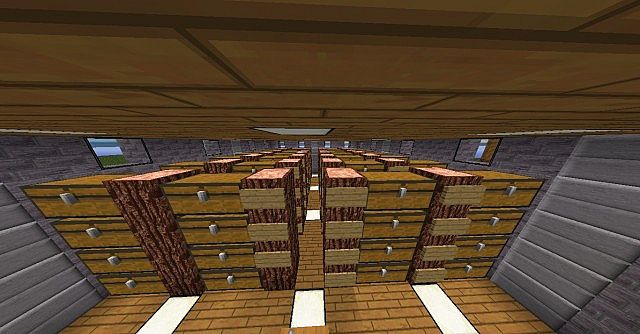 Storage House Minecraft Map
