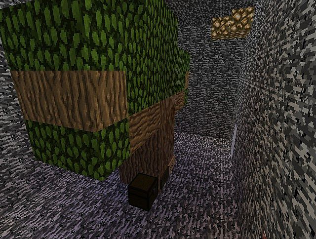 found the 10 NQ Minecraft Map