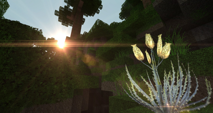 Skyrim Texture Pack 1.5.1 HD 256x256 Minecraft Texture Pack