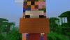 ! ChickenCraft ! Minecraft Server