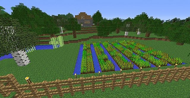 Beautiful Homestead With Large Property Minecraft Map