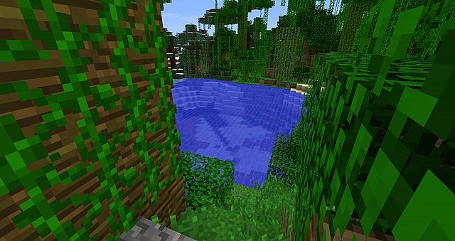 jungle lagoon Minecraft Map