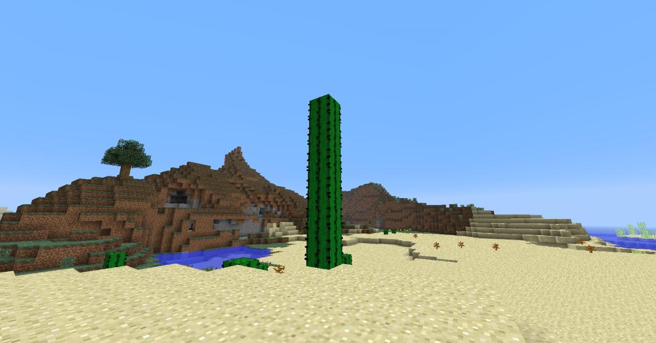 I have found the legendary 6 block cactus in my world! Minecraft Blog