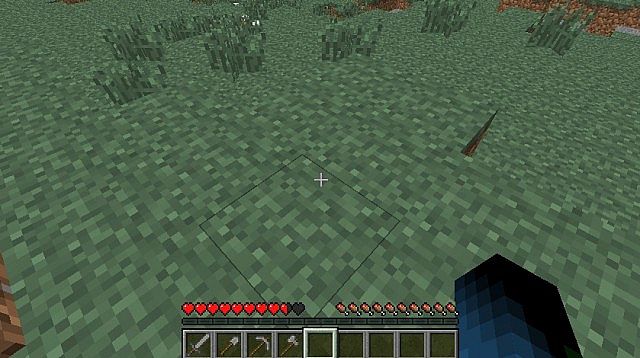 Insanity craft Minecraft Server