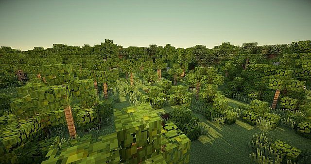 Rainforest River Minecraft Map
