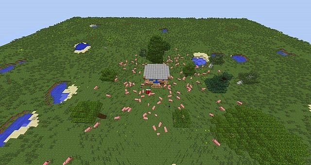 Survival map Minecraft Map