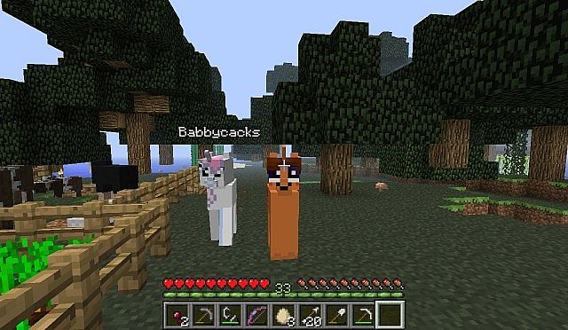 Mine Little Pony Mod OC Skins