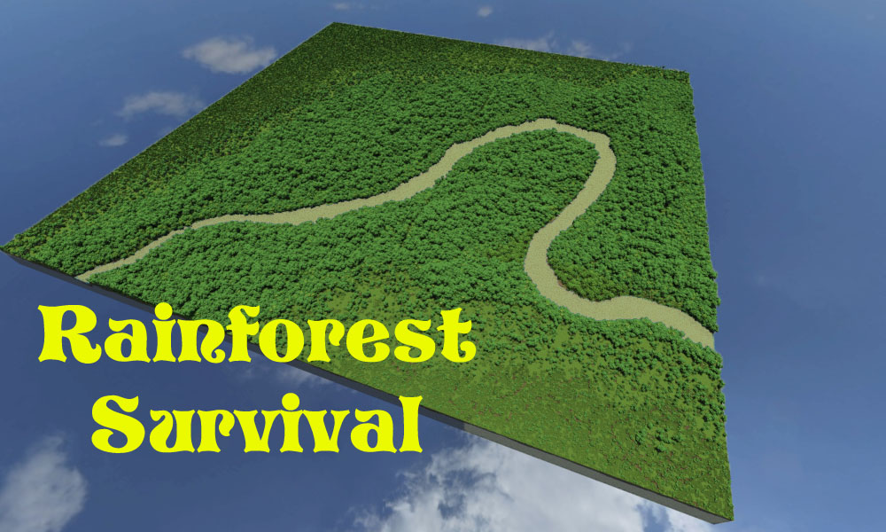 Rainforest River Minecraft Map