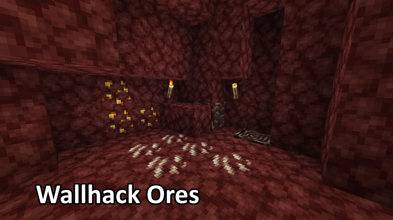 Additional Pack [v1.1] 1.16.x [WON'T UPDATE] Minecraft Texture Pack