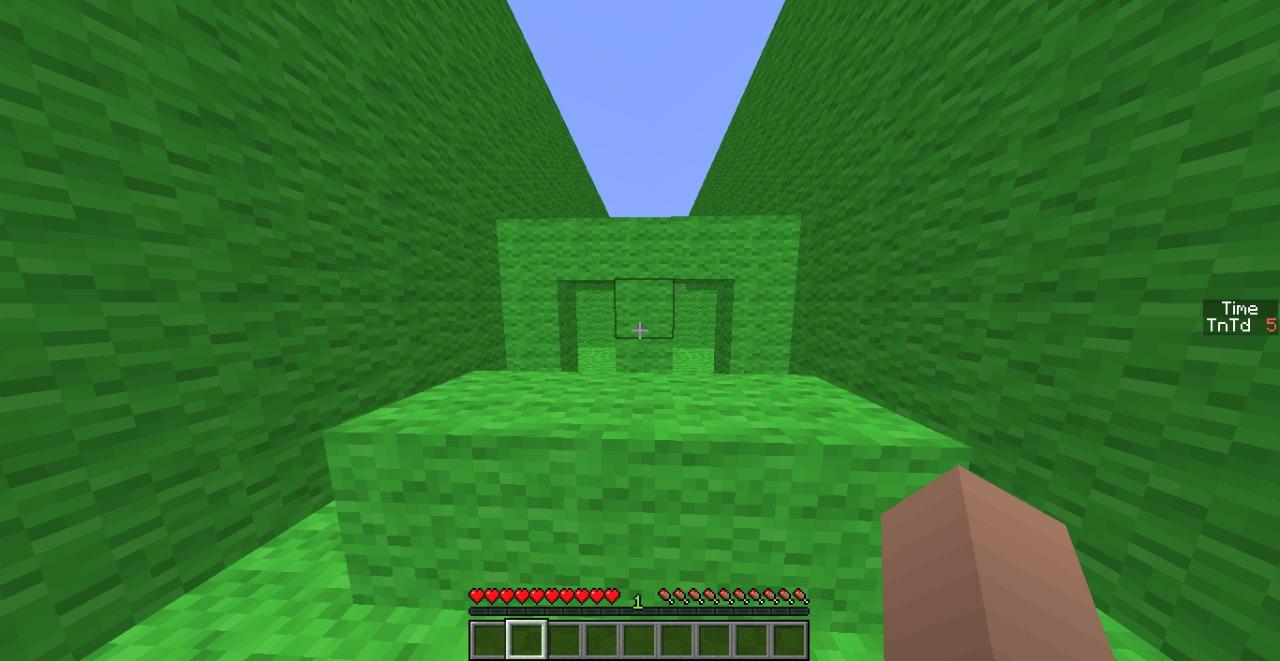 Mini Game - The Race Minecraft Map