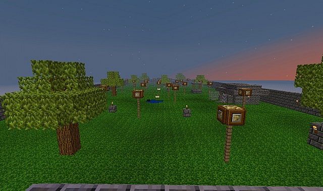 The Treasure Minecraft Map