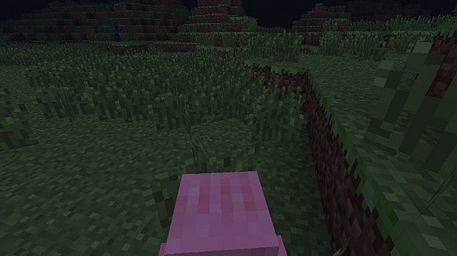 The Treasure Minecraft Map