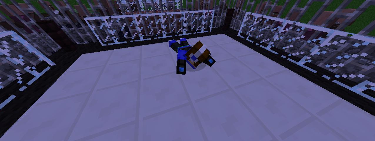 WWE Cage match! Minecraft Map