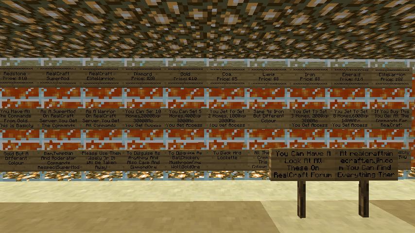 RealCraft Minecraft Server