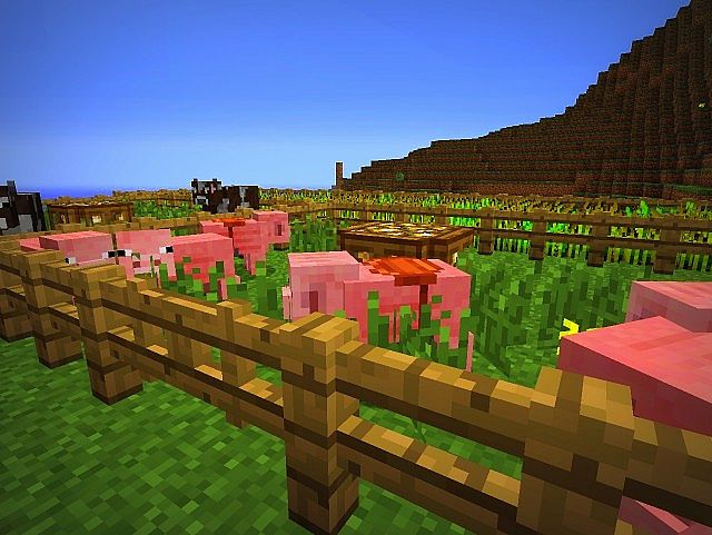 Farm Survival Minecraft Map