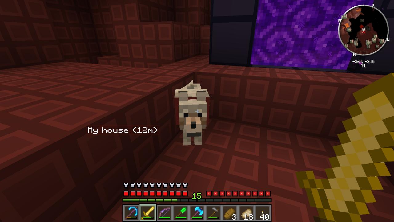 Wolf in the nether! Minecraft Blog