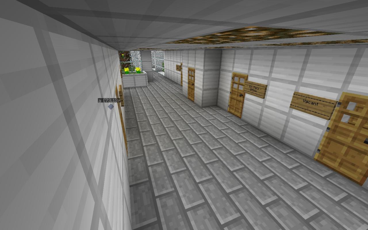 Eveything inc Minecraft Map