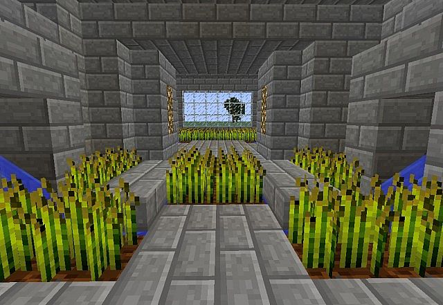 Auto-Water Farm Minecraft Map
