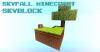 SkyFallMc SkyBlock Minecraft Server