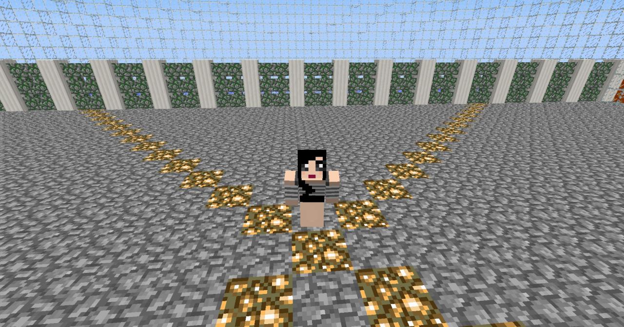 Bonobo-Craft! Minecraft Server