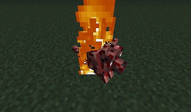 [1.5.2][SSP/LAN] Wolves+ Mod v1.1.1.4 [Shooting Wolves!] Minecraft Mod